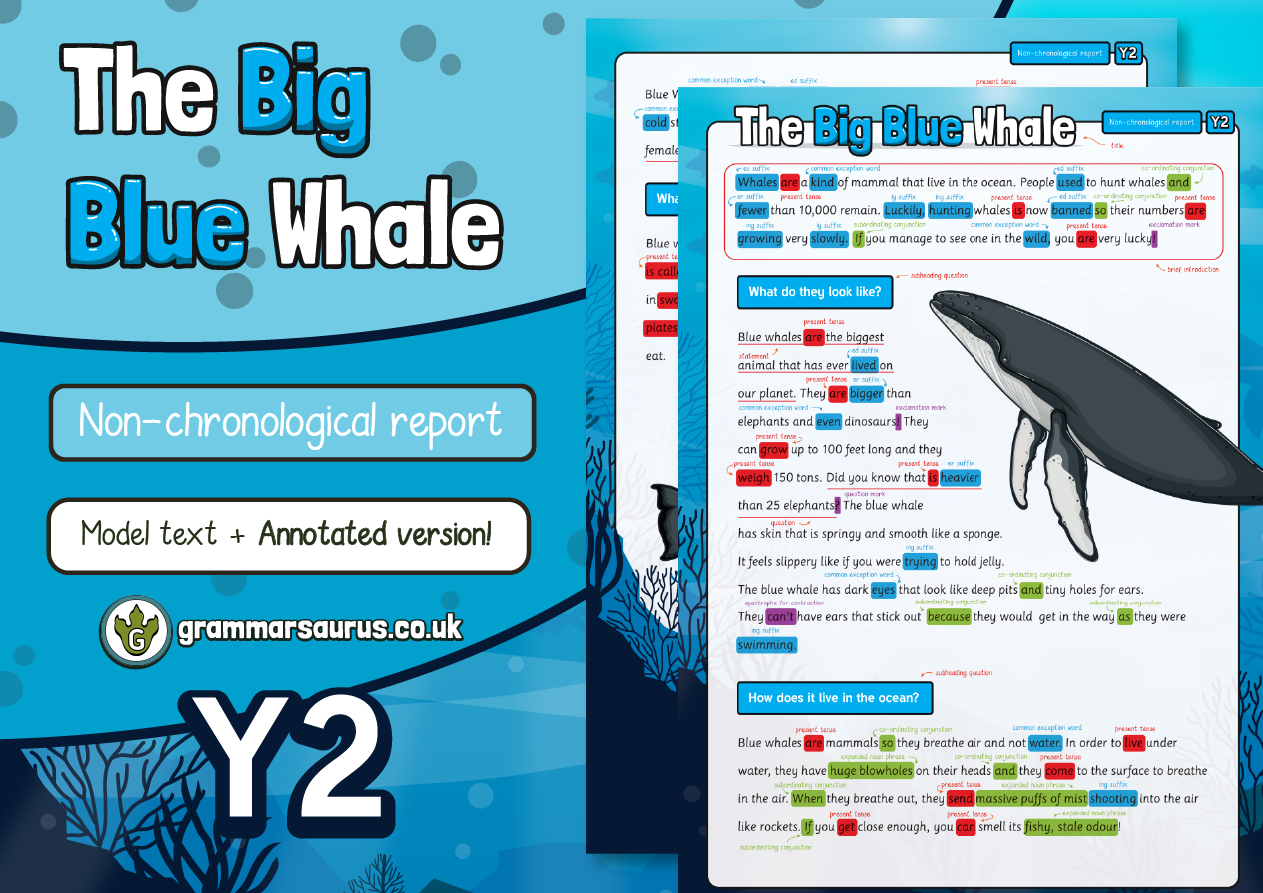 Year 2 Model Text Non-Chronological - The Big Blue Whale - Annotated ...