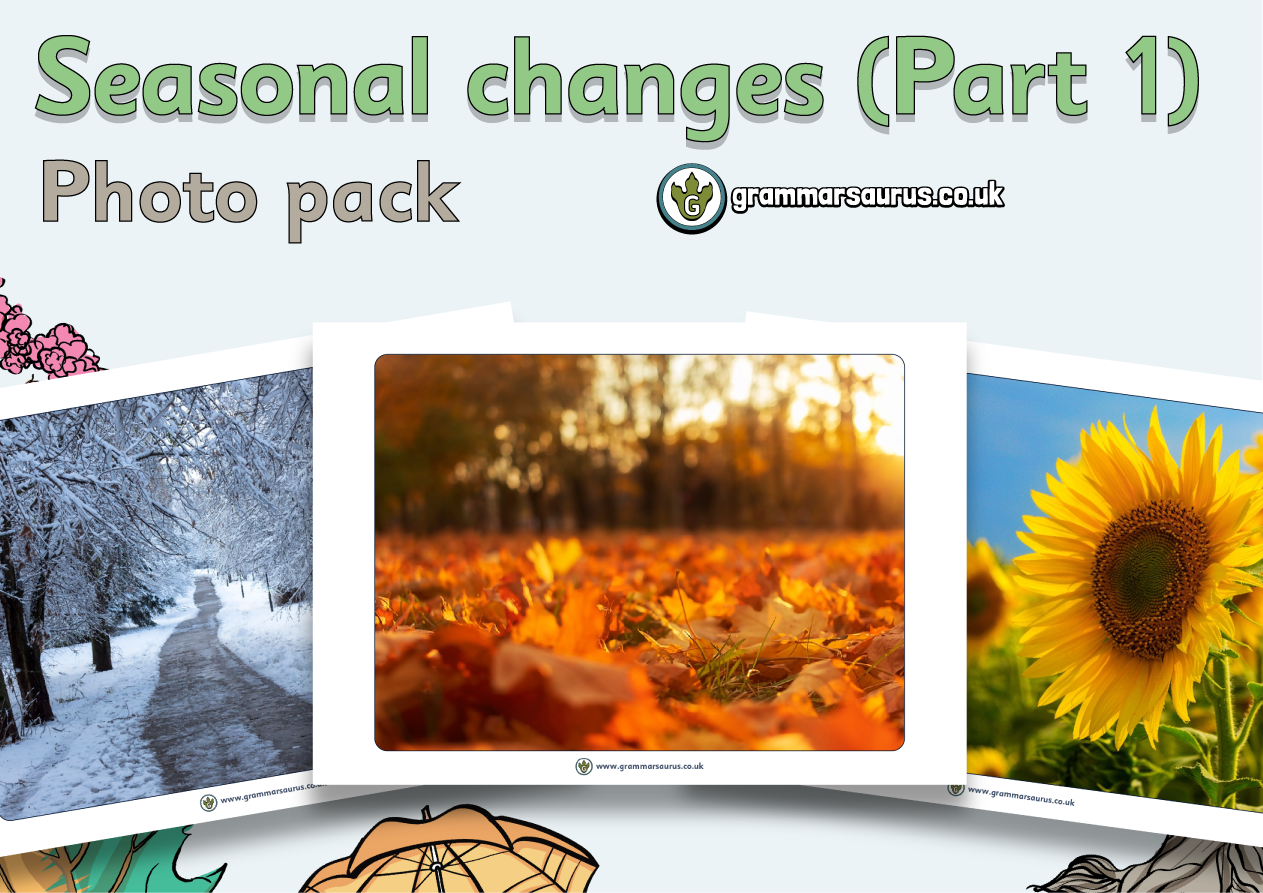 Year 1 Science - Seasonal Changes (Part 1) - Photo pack - Grammarsaurus