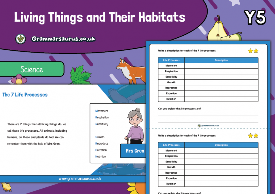 Year 5 Living Things and their Habitats - Grammarsaurus