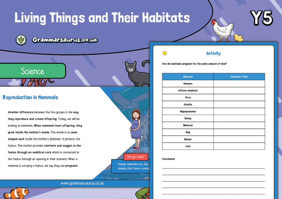 Year 5 Living Things and their Habitats - Grammarsaurus