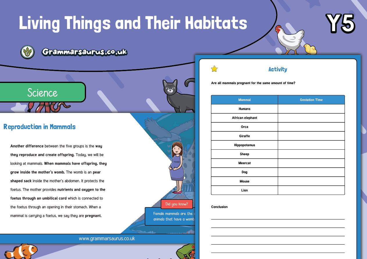 Year 5 Science - Living Things and Their Habitats - Reproduction in ...