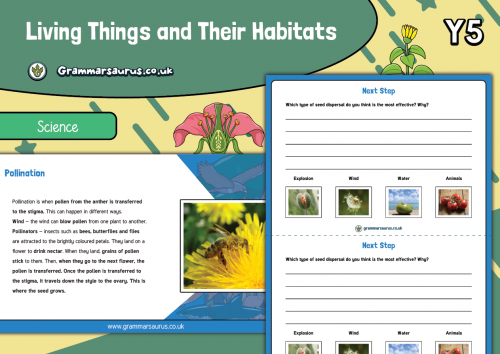 Year 5 Science - Living Things and their Habitats - Reproduction in ...
