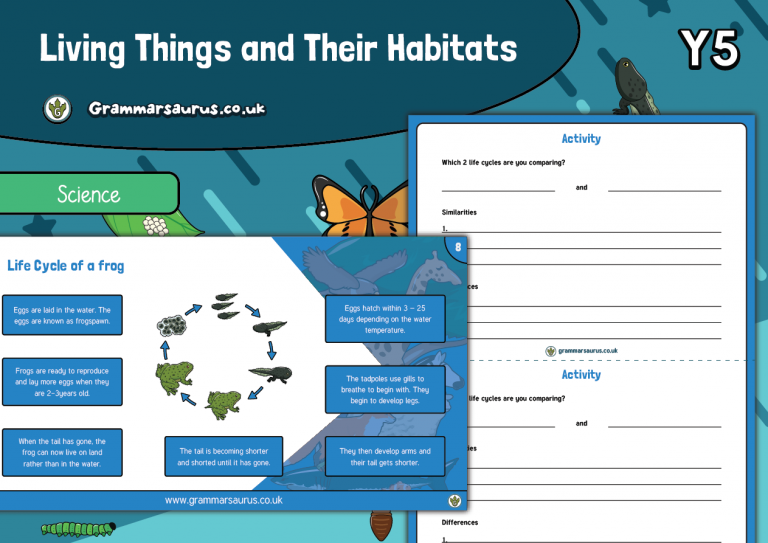 Year 5 Science - Living Things and their Habitats - Life Cycles of ...