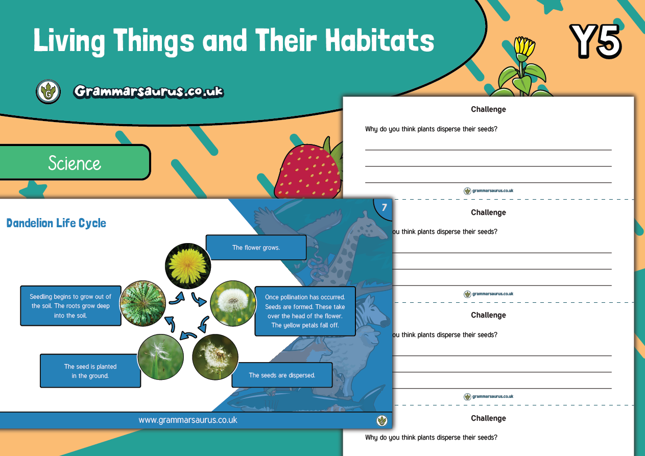 Year 5 Science - Living Things and their Habitats - Life Cycle of ...