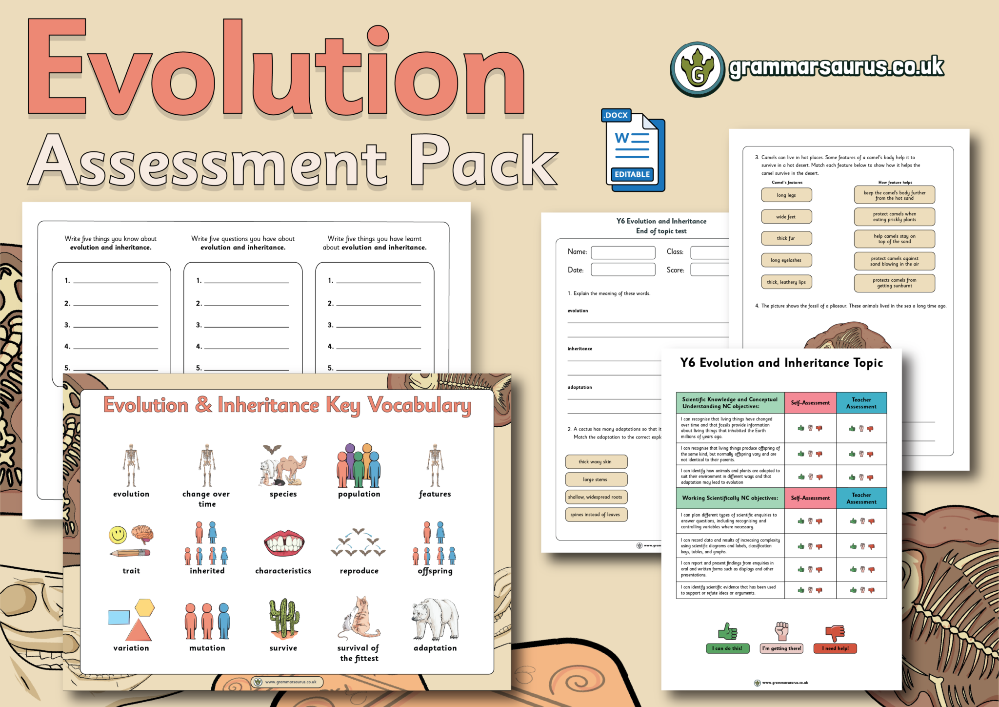 Year 6 Science - Evolution - Assessment Pack - Grammarsaurus