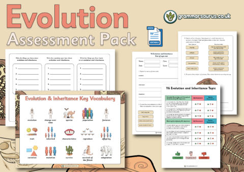 Year 6 Science - Evolution - Assessment Pack - Grammarsaurus