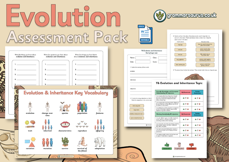 Year 6 Science - Evolution - Assessment Pack - Grammarsaurus