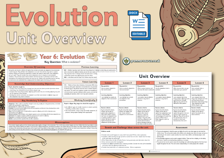 Year 6 Science – Evolution – Unit Overview - Grammarsaurus