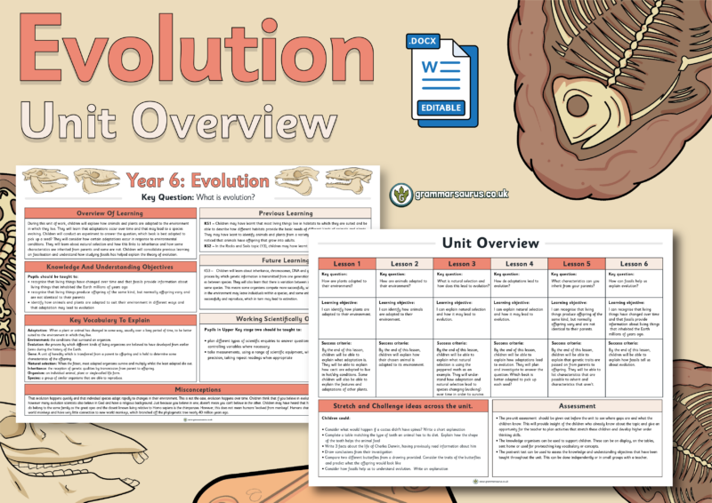 Year 6 Evolution - Grammarsaurus