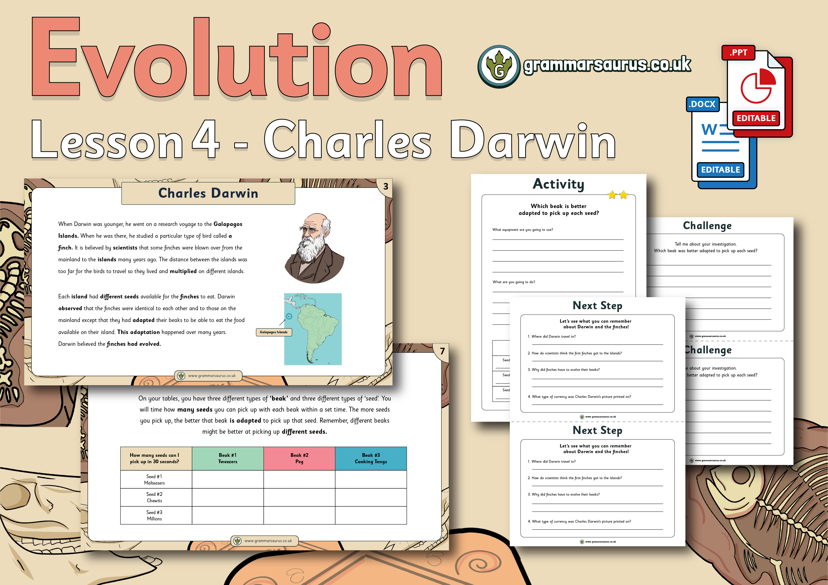 Charles Darwin Worksheet