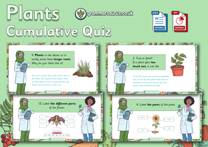 Year 3 Plants - Grammarsaurus