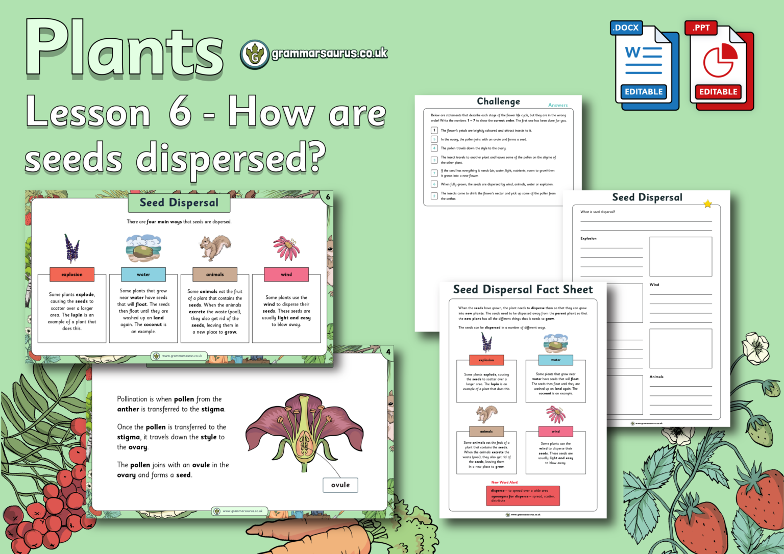 Year 3 Science - Plants - How are seeds dispersed? Lesson 6 - Grammarsaurus