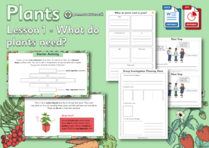 Year 3 Science - Plants - What do plants need? Lesson 1 - Grammarsaurus