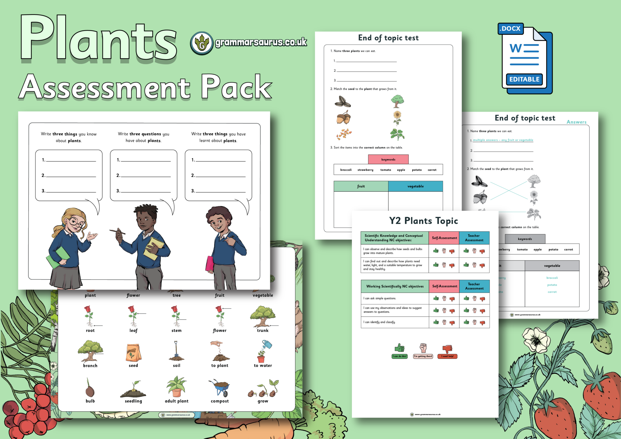 Year 2 Science - Plants - Assessment Pack - Grammarsaurus