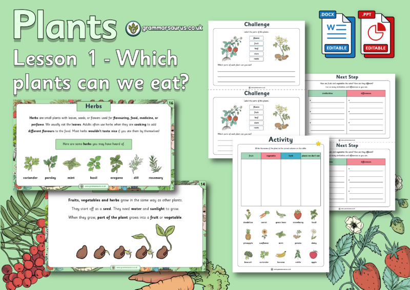 Year 2 Science - Plants - Which plants can we eat? Lesson 1 - Grammarsaurus