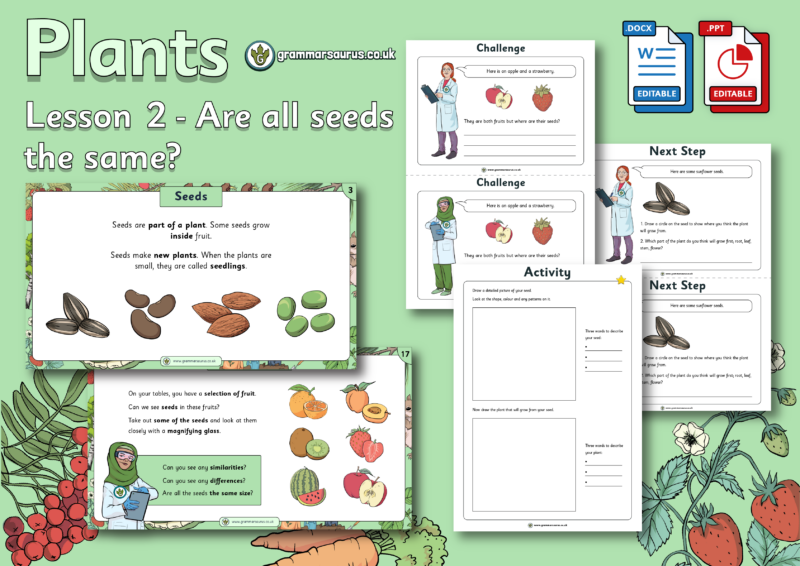 Year 2 Science - Plants - Are all seeds the same? Lesson 2 - Grammarsaurus