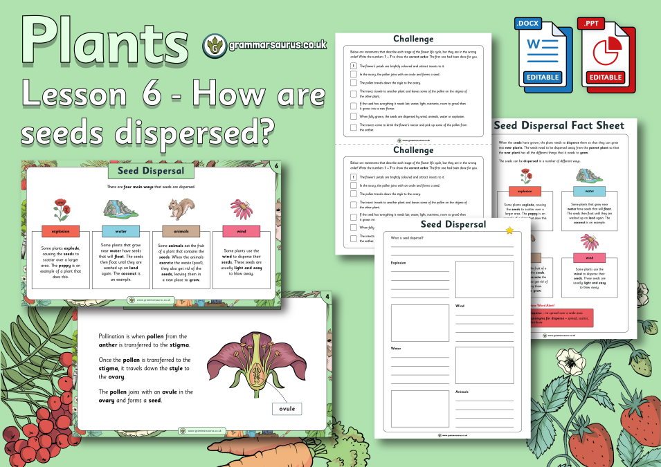 Year 3 Science - Plants - Seed Dispersal - Lesson 6 - Grammarsaurus