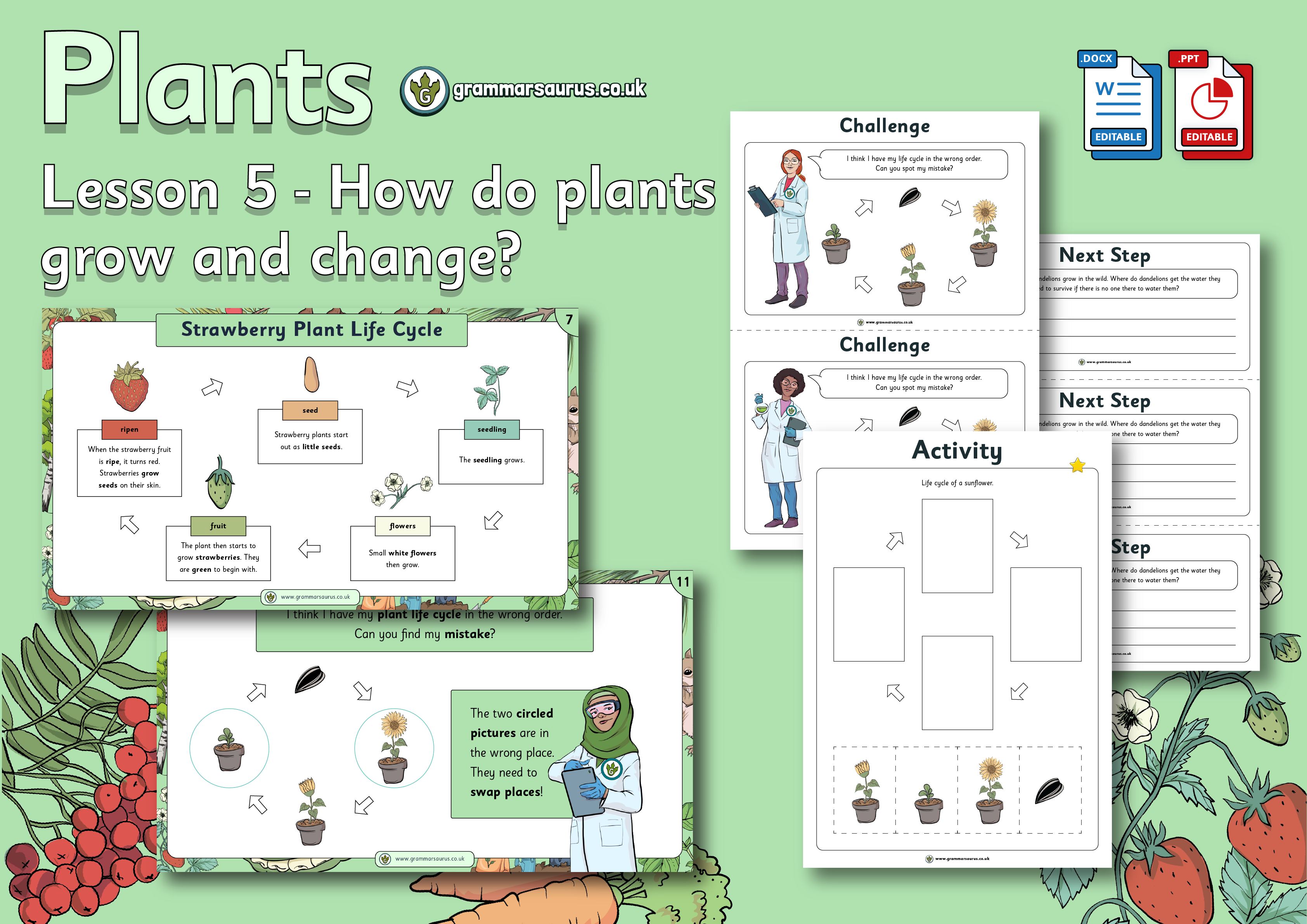 Year 2 Science - Plants - How do plants grow and change? Lesson 5 ...