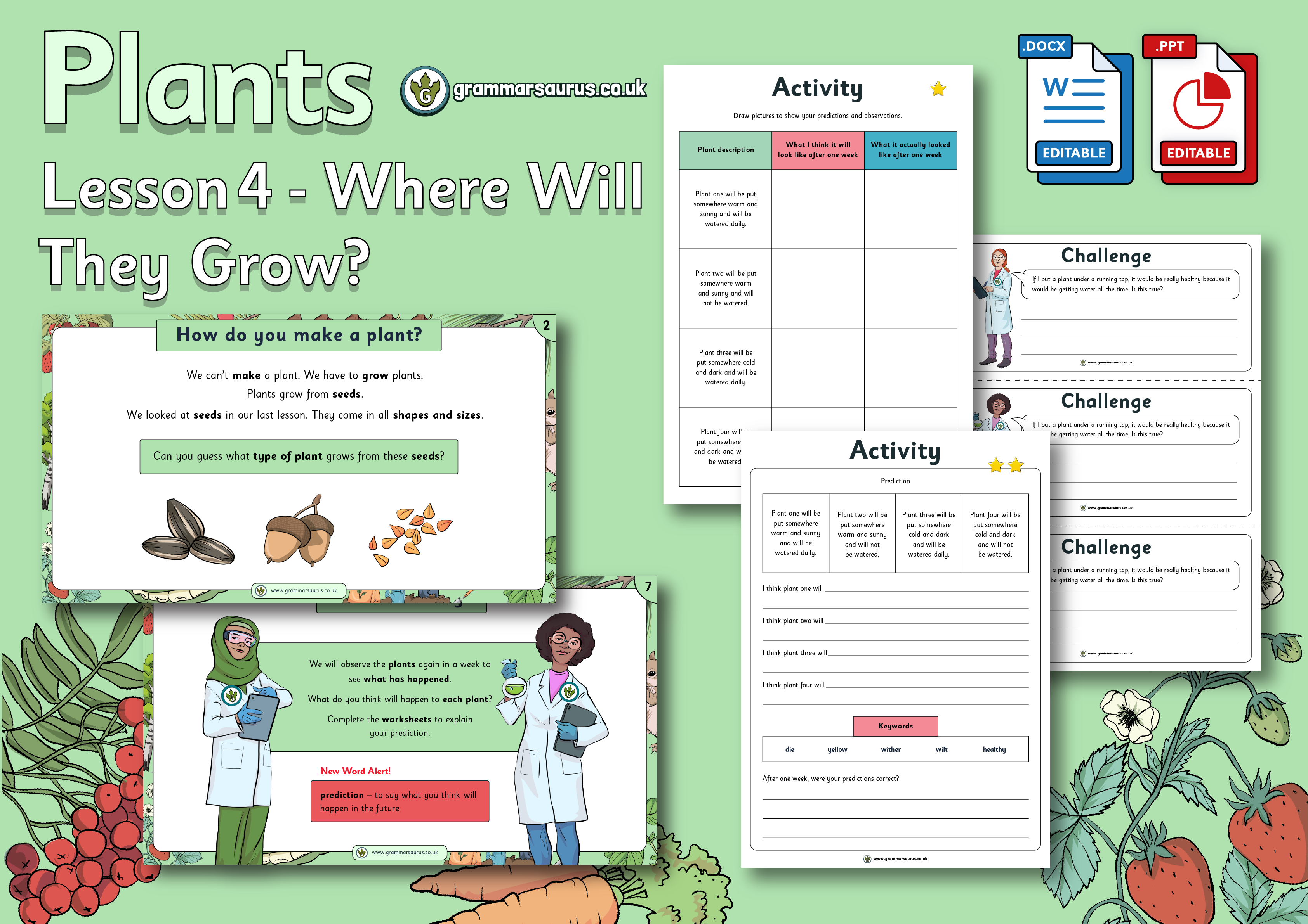 Year 2 Science - Plants - Where Will They Grow? Lesson 4 - Grammarsaurus