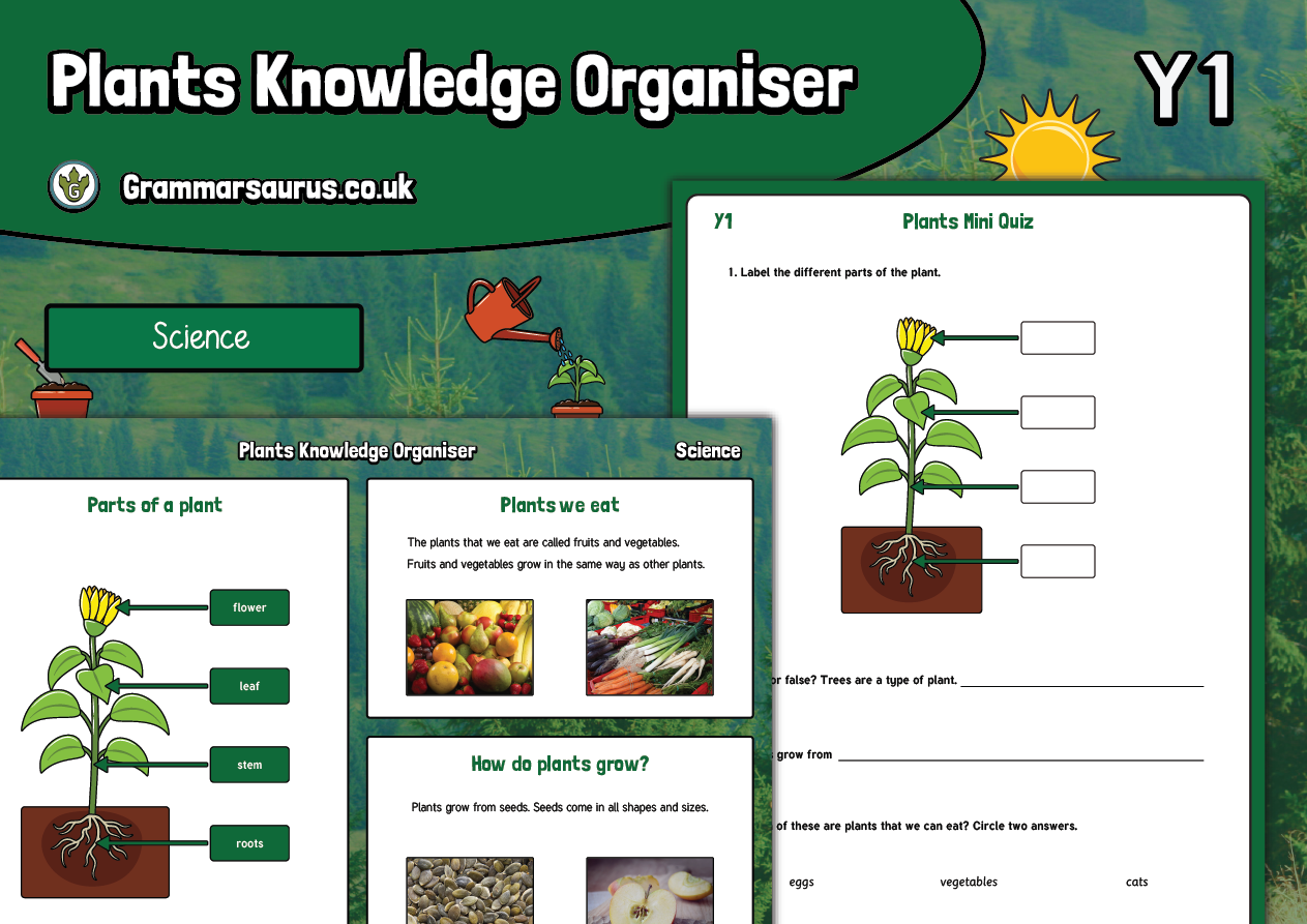 Year 1 - Science - Plants - Knowledge Organiser - Grammarsaurus