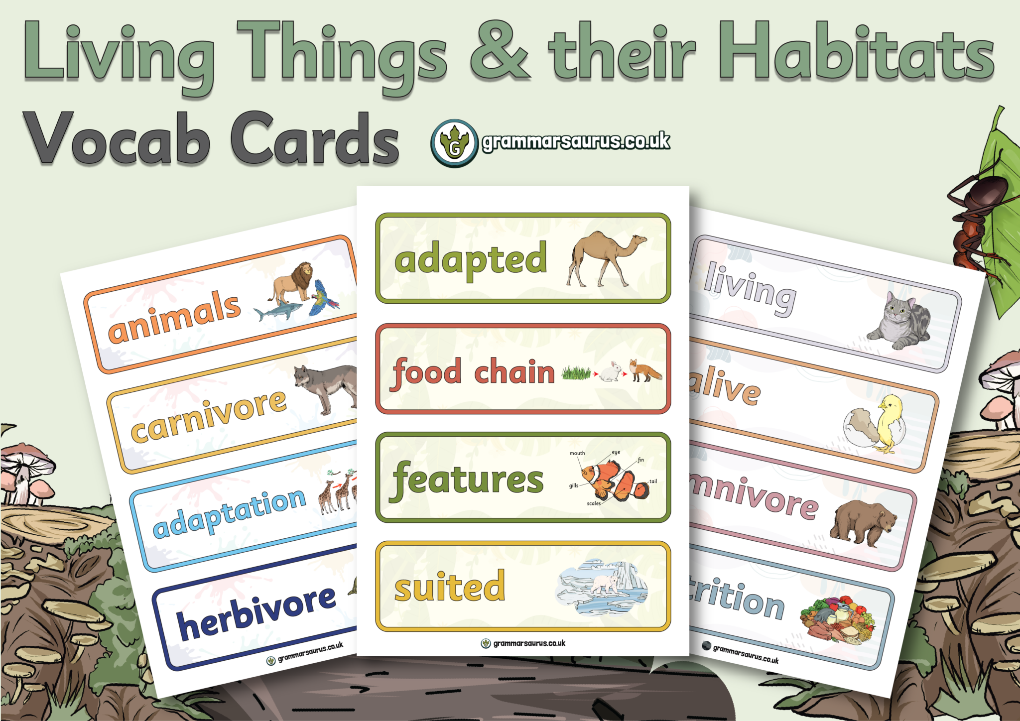 Science - Living Things and their Habitats - Vocabulary Cards ...