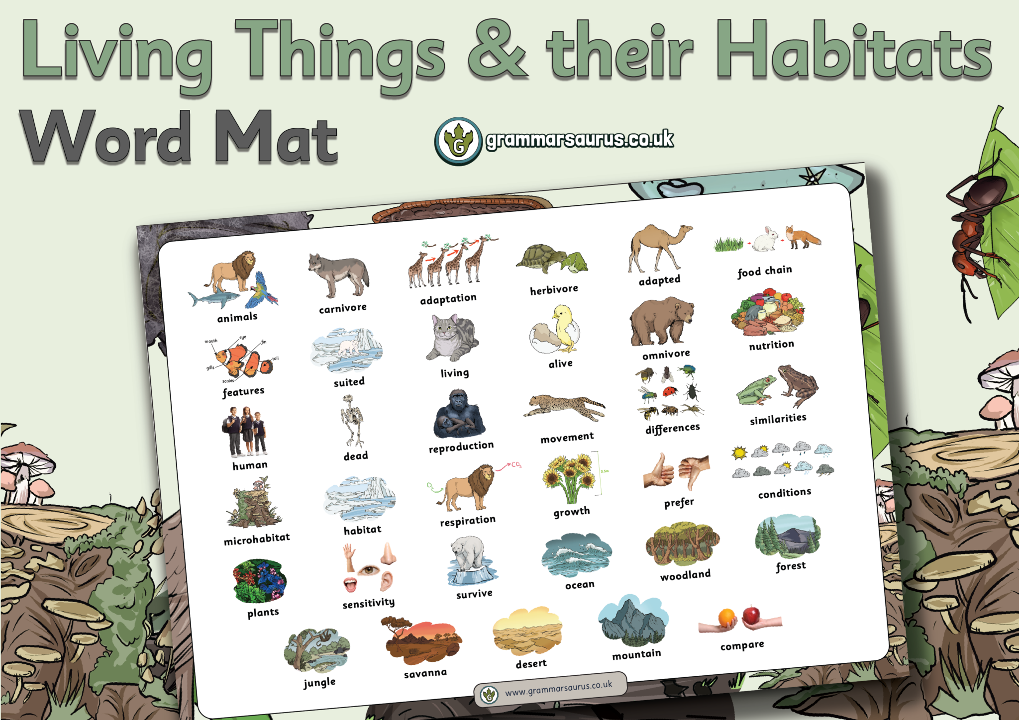 Science - Living Things and their Habitats - Word Mat - Grammarsaurus