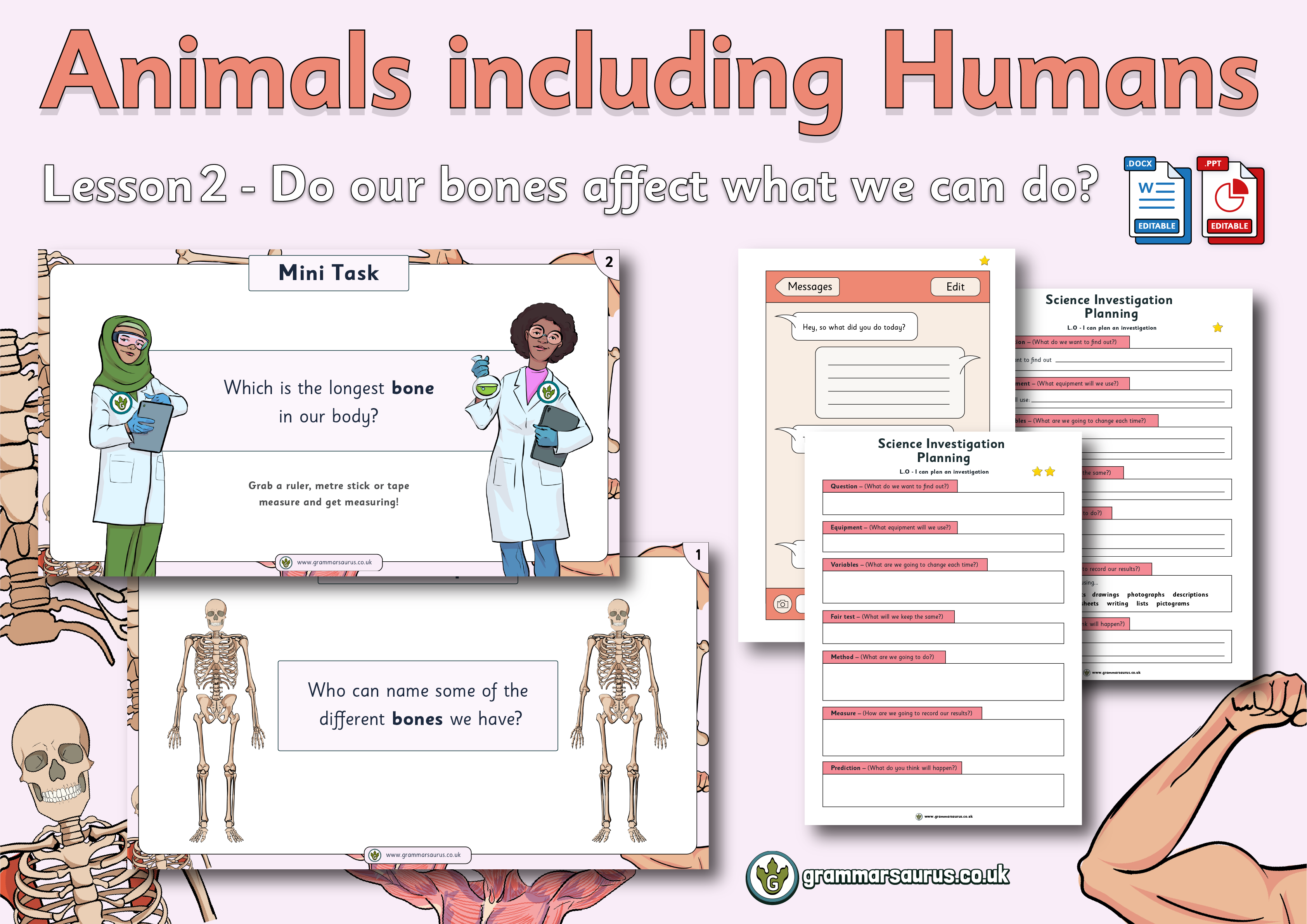 Year 3 Science - Animals including Humans - Do our bones affect what we ...