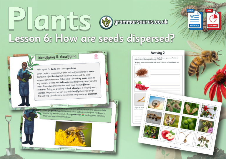 Year 3 Science - Plants - How are seeds dispersed? Lesson 6 - Grammarsaurus