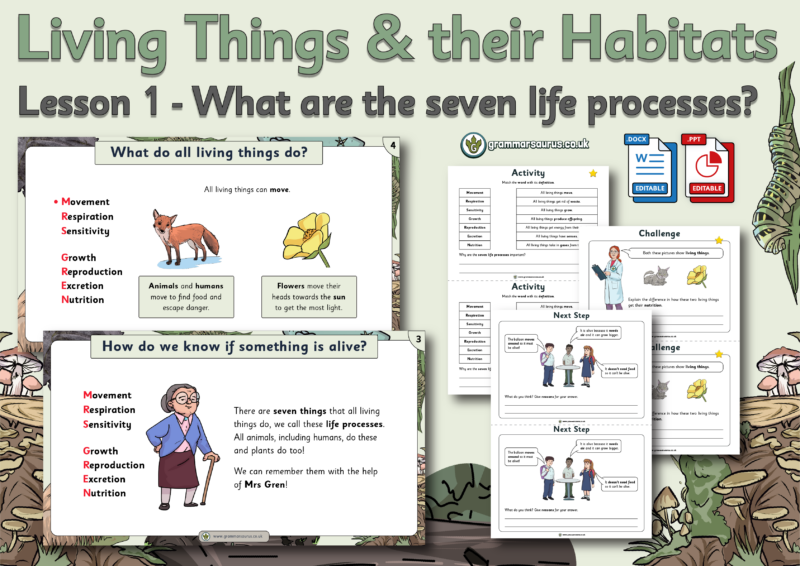 Year 4 Science - Living Things and their Habitats - What are the Seven ...