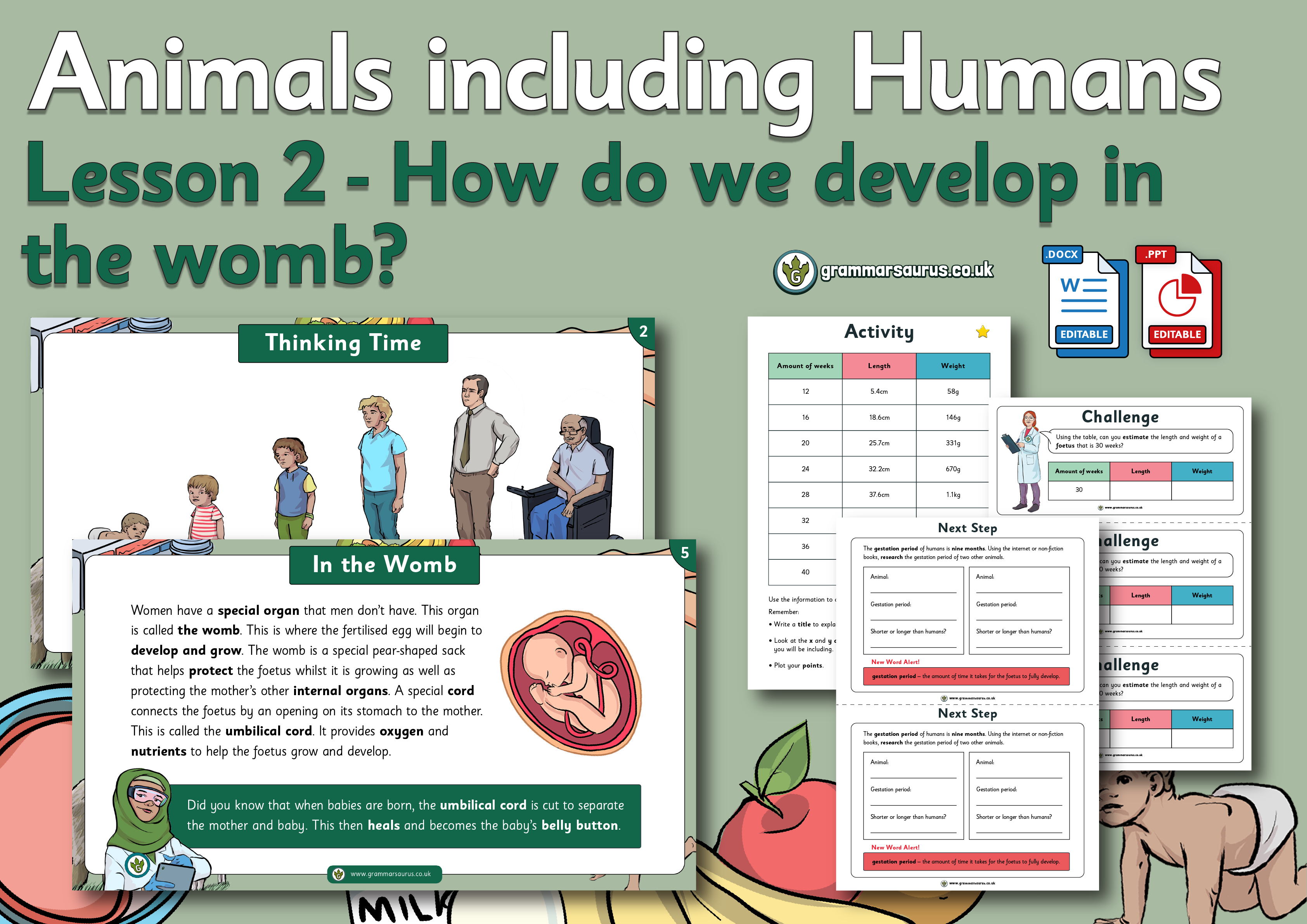 Year 5 Science - Animals Including Humans - How do we develop in the ...