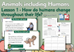 Year 5 Science - Animals including Humans - How do humans change ...