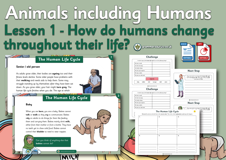 Year 5 Animals including Humans - Grammarsaurus