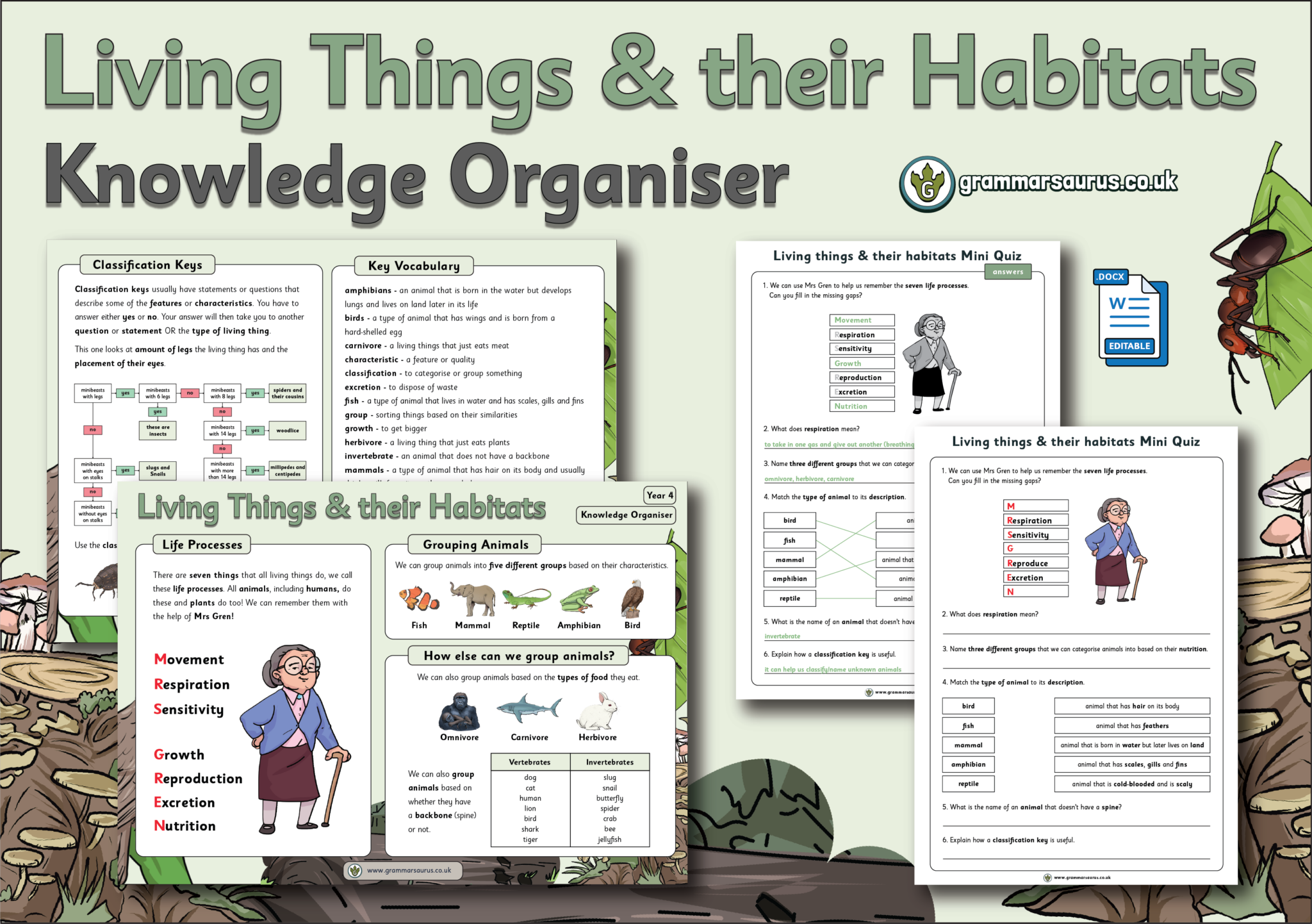 Year 4 Science - Living Things and their Habitats - Knowledge Organiser - Grammarsaurus