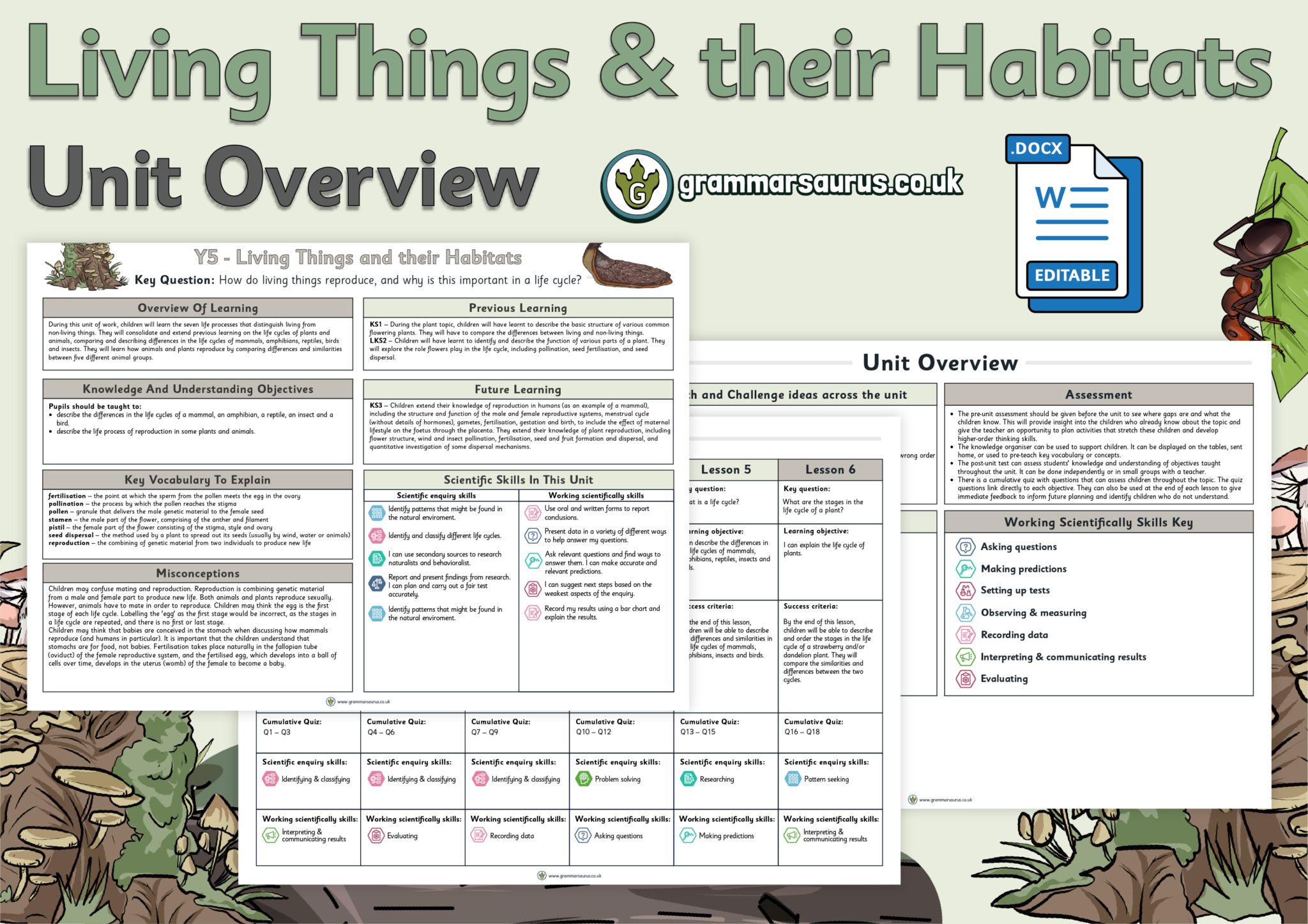Year 5 – Living Things and their Habitats – Unit Overview - Grammarsaurus