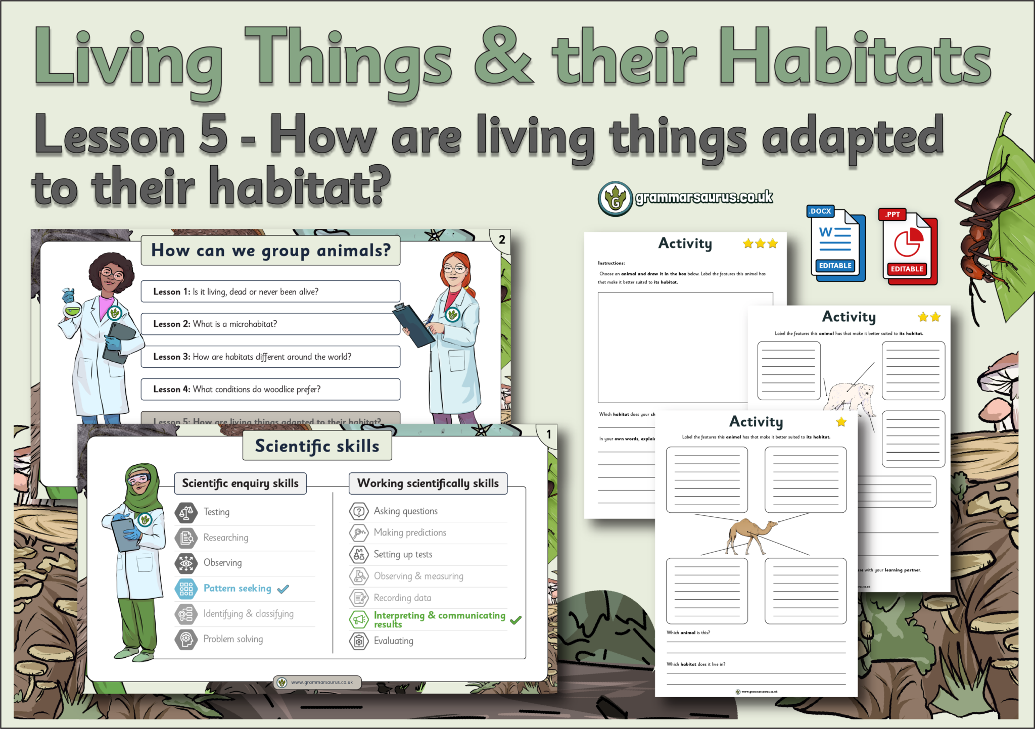 Year 2 Science - Living Things and their Habitats - How are living ...