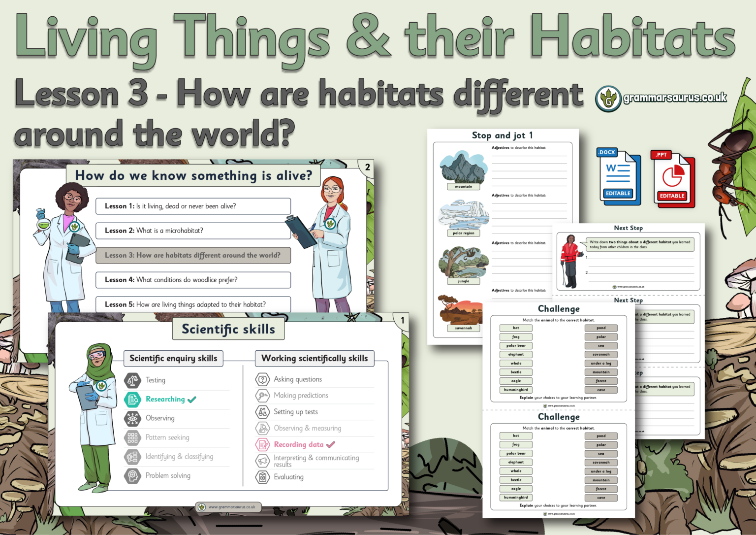 Year 2 Science - Living Things and their Habitats - How are habitats ...