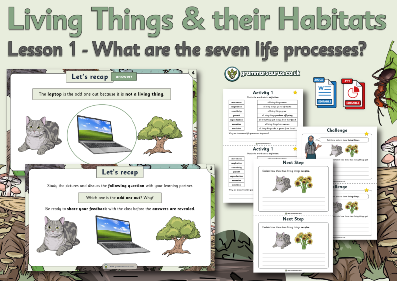 Year 4 Science - Living Things and their Habitats - What are the Seven ...