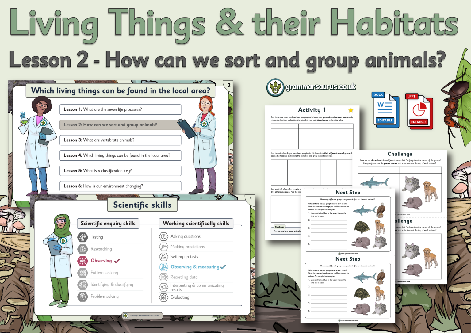 Year 4 Science - Living Things and their Habitats - How can we sort and ...