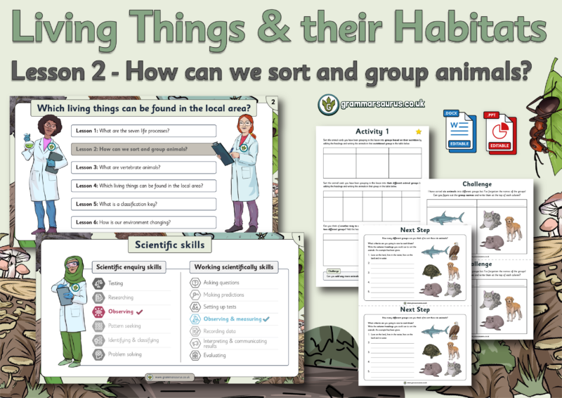 Year 4 Science - Living Things and their Habitats - How can we sort and ...