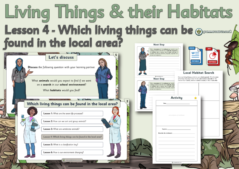 Year 4 Science - Living Things and their Habitats - Which living things ...