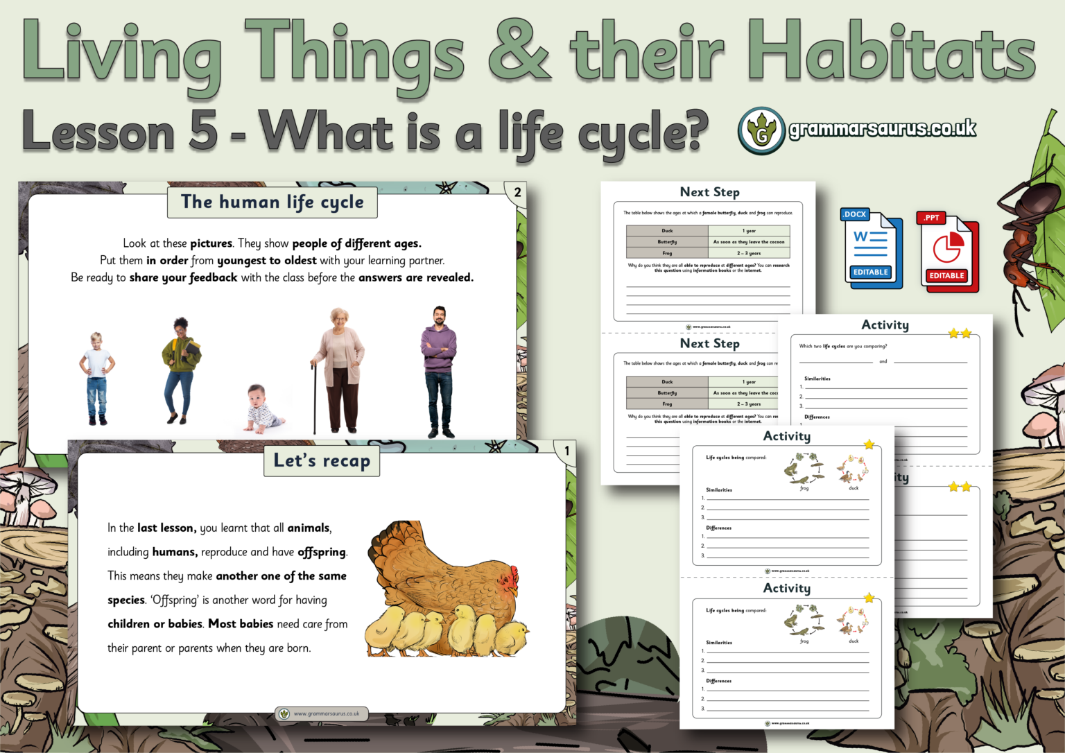 Year 5 Science - Living Things and their Habitats - What is a life ...