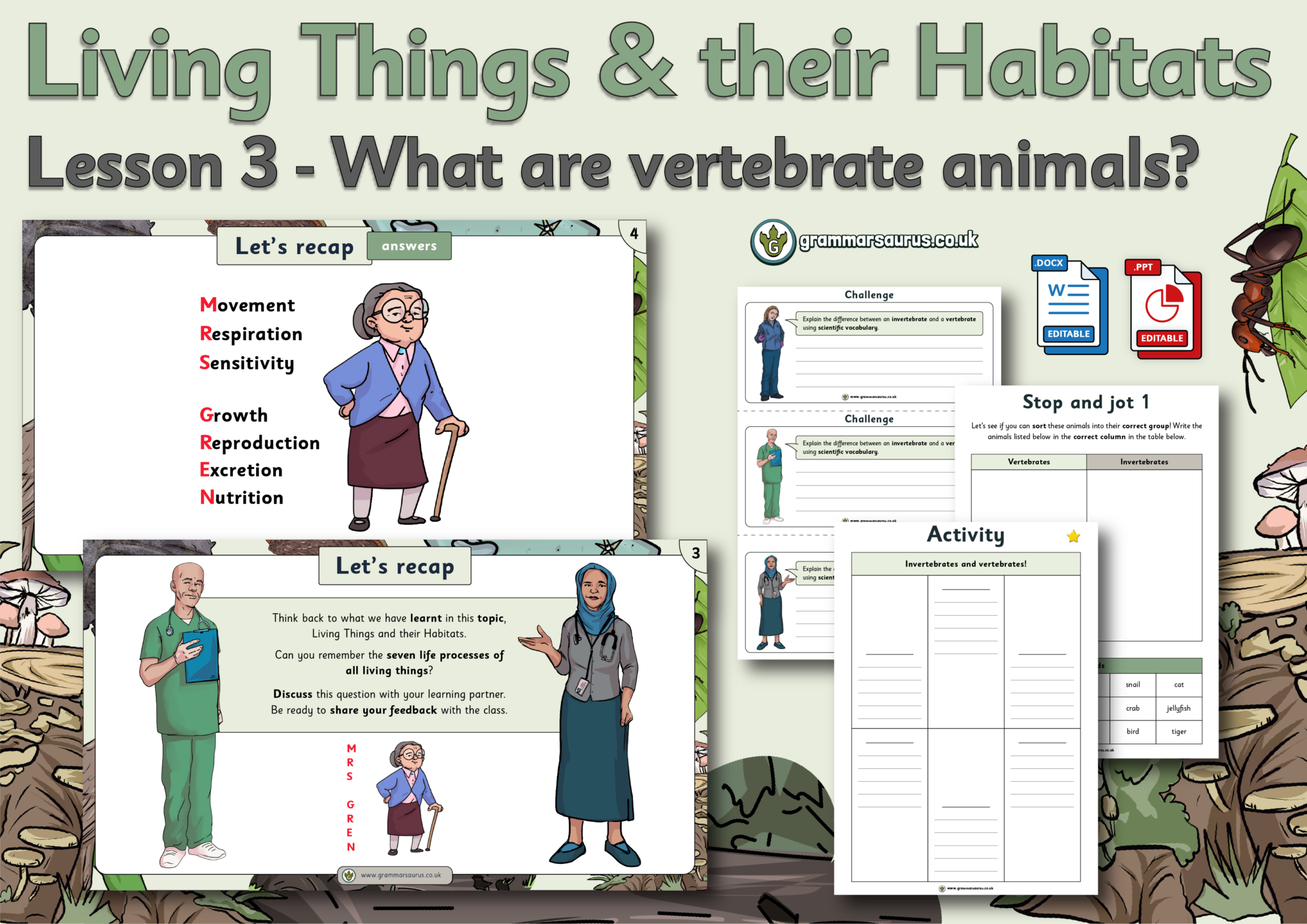 Year 4 Science - Living Things and their Habitats - What are Vertebrate ...