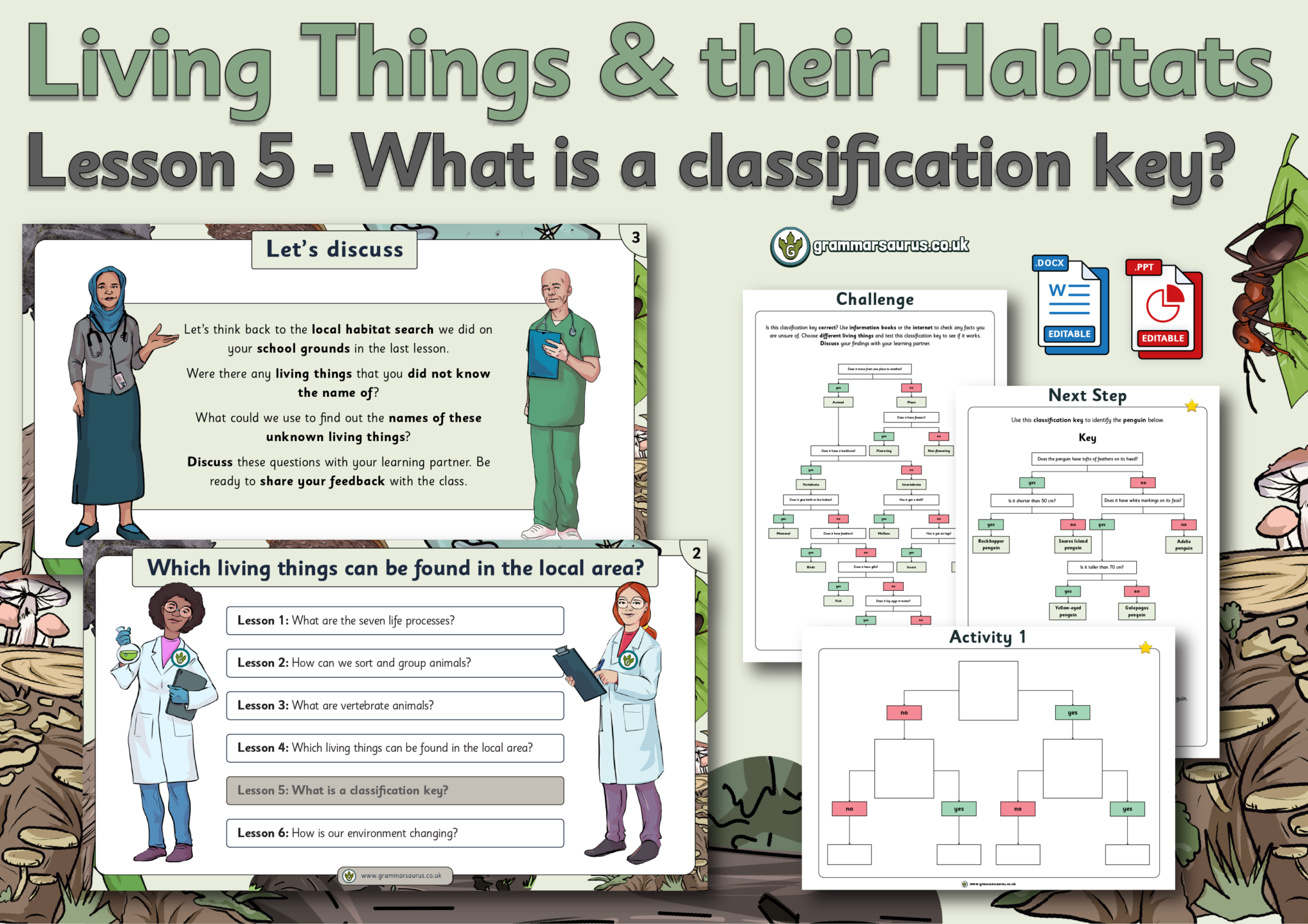 Year 4 Science - Living Things and their Habitats - What is a ...