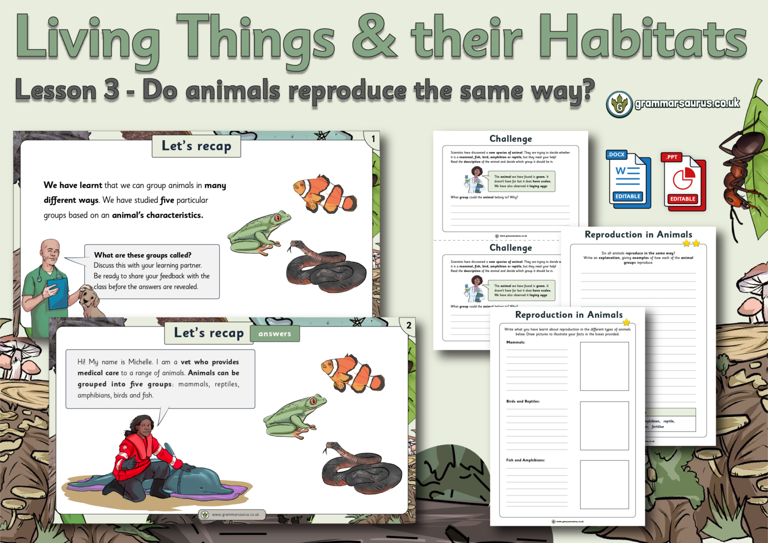 Year 5 Science - Living Things and their Habitats - Do animals ...