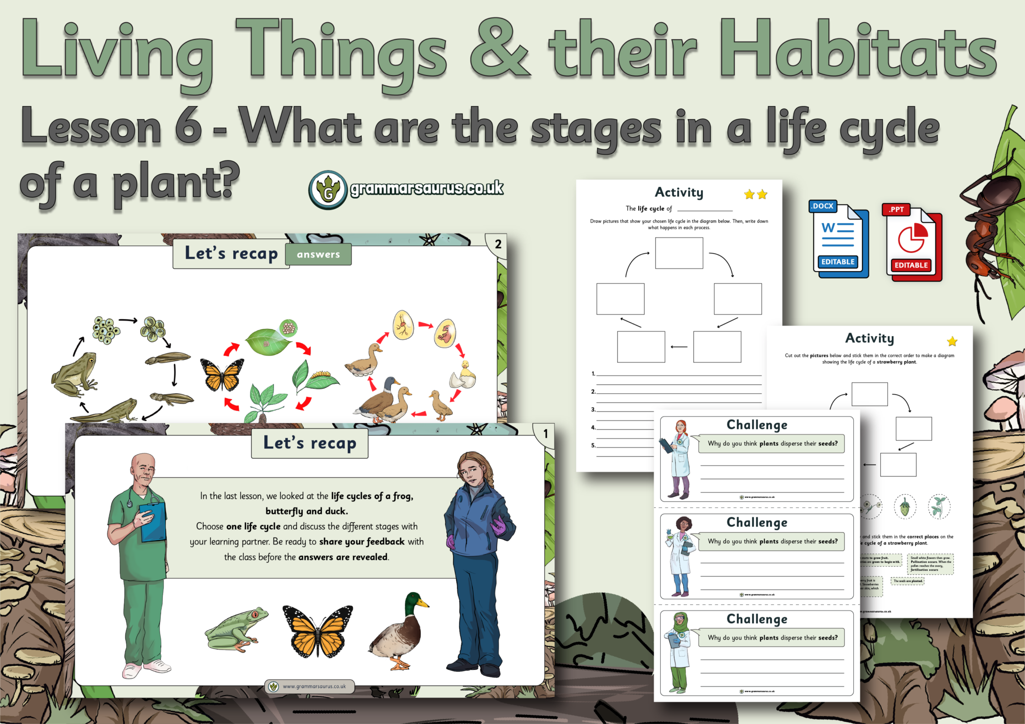Year 5 Science - Living Things and their Habitats - What are the stages ...