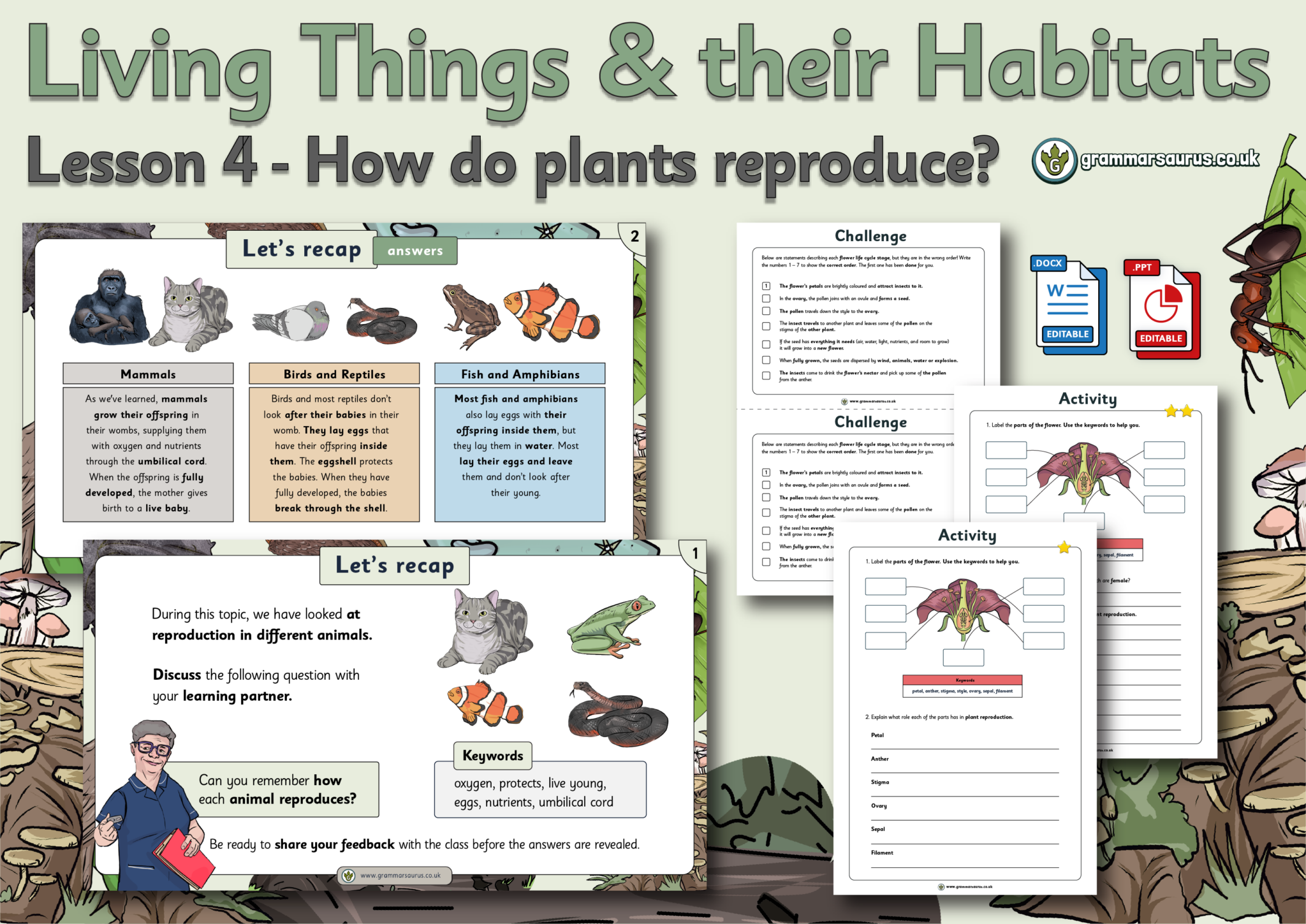 Year 5 Science - Living Things and their Habitats - How do plants ...