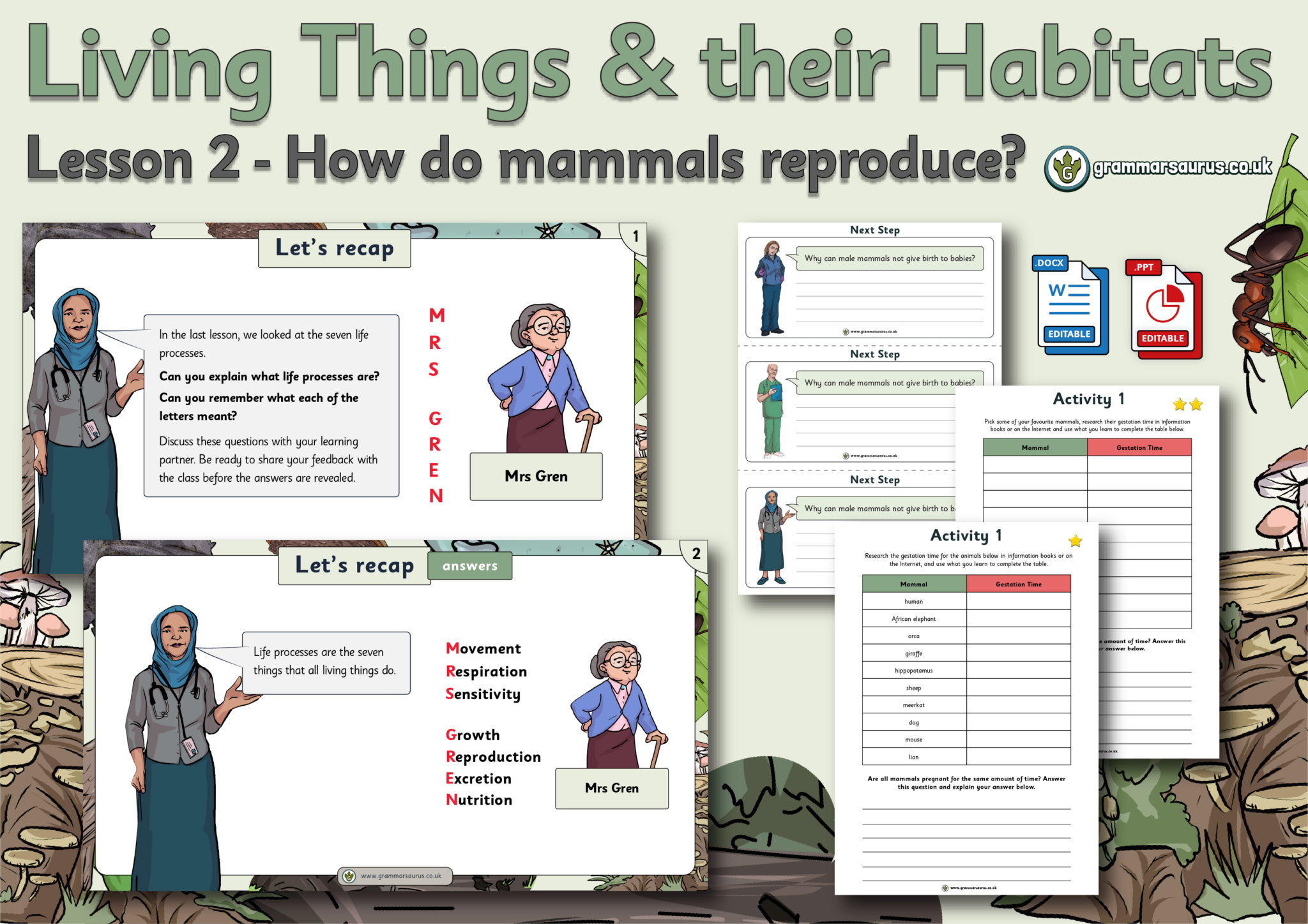 Year 5 Science - Living Things and Their Habitats - How do mammals ...