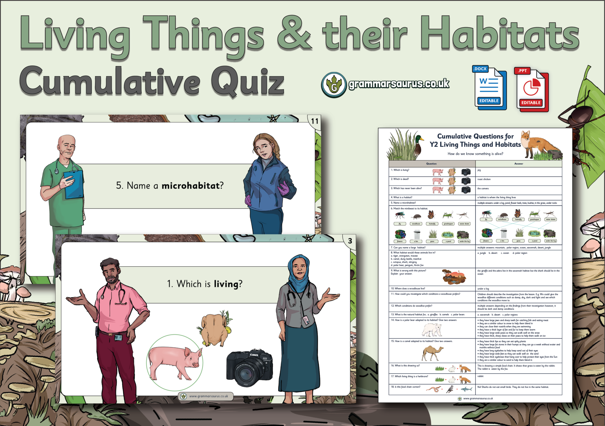 Year 2 Science - Living Things and their Habitats - Cumulative Quiz ...