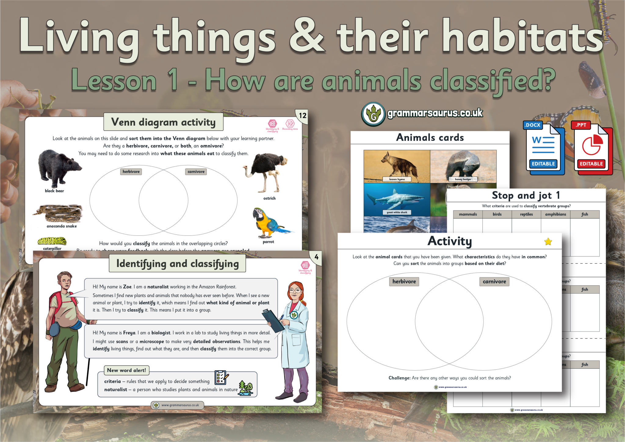 Year 6 Science - Living Things and their Habitats - How are animals ...