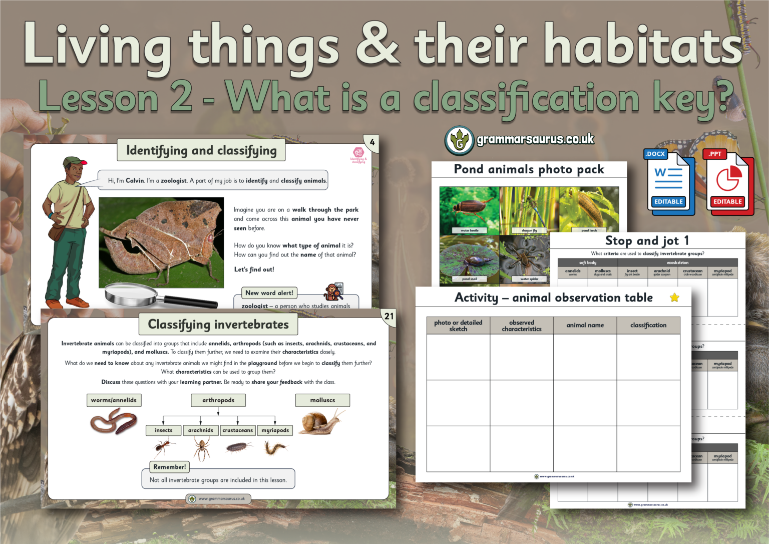 Year 6 Science - Living Things and their Habitats - What is a ...